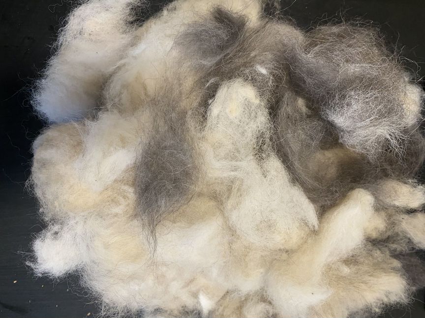 Пух, шерсть шпица