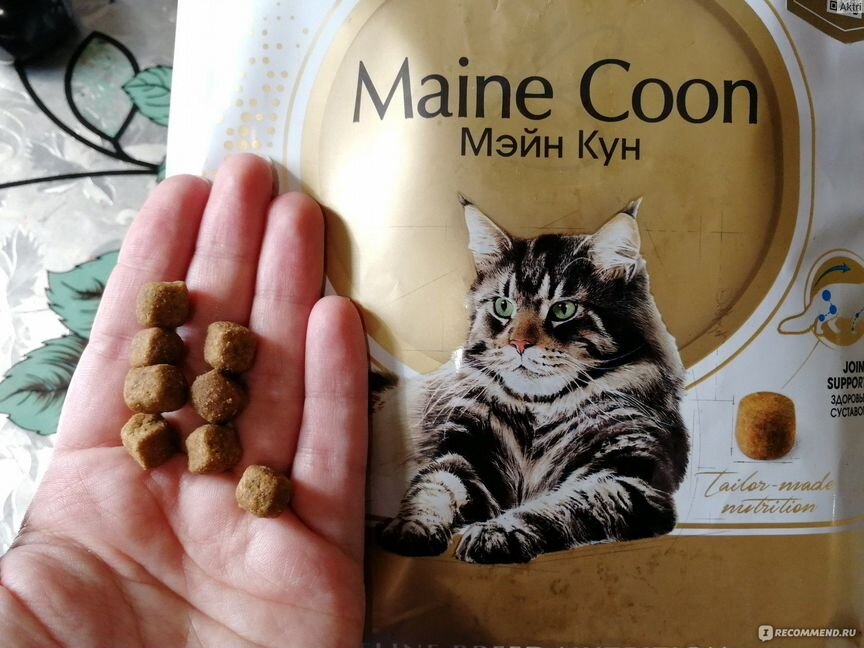 Корм мейн кун royal canin