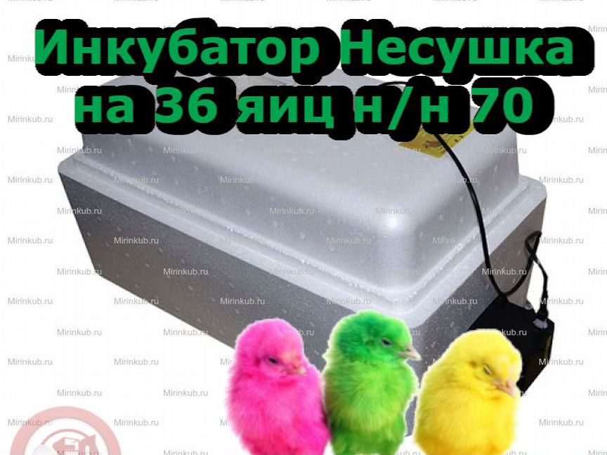 Инкубатор