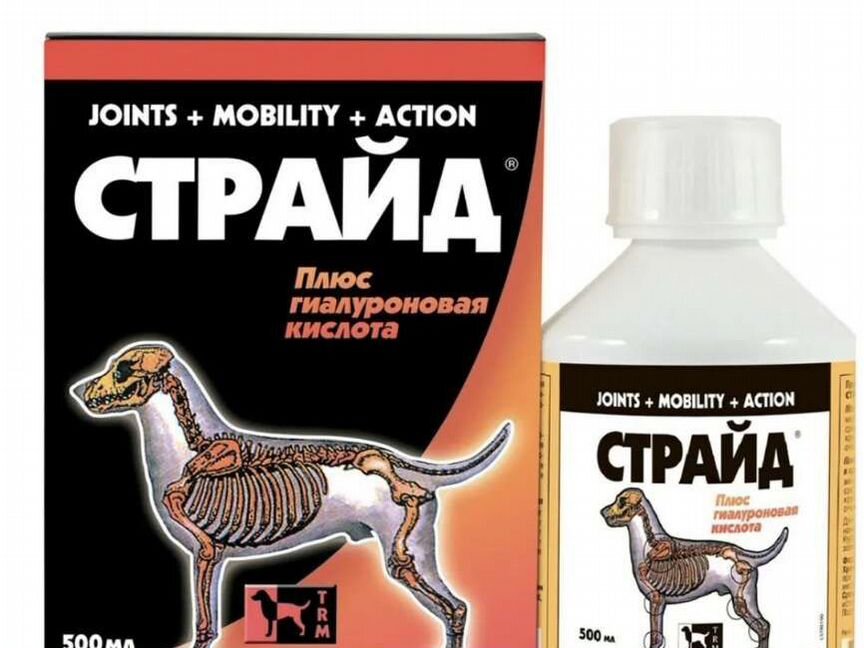 Страйд для собак