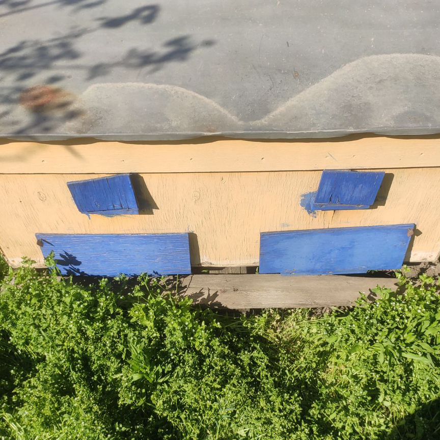 Улей для пчел бу
