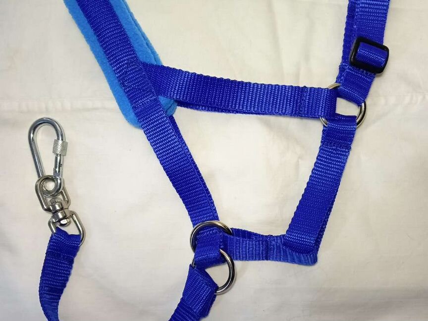 Недоуздок для собаки (халти)