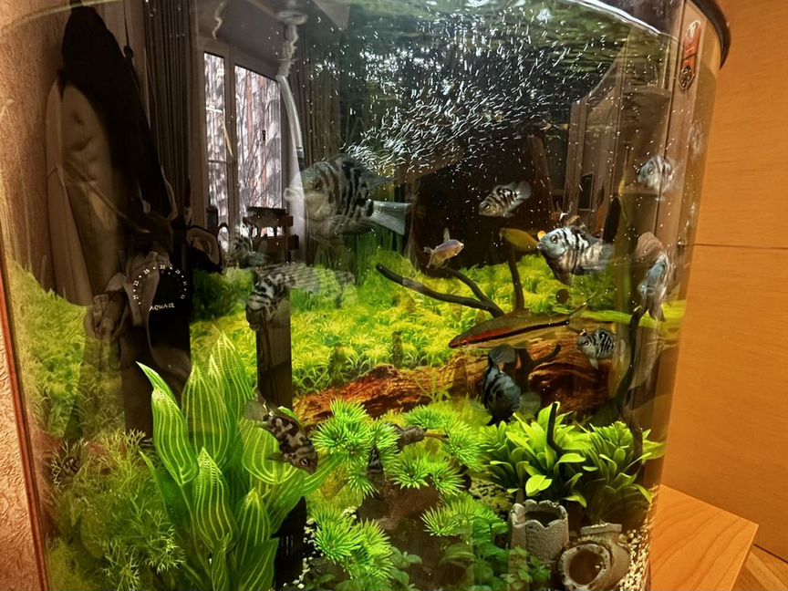 Аквариум jebo R-760 70 литра