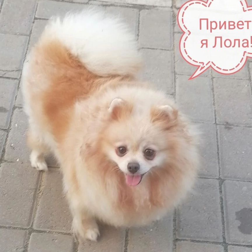 Лола ищет маму
