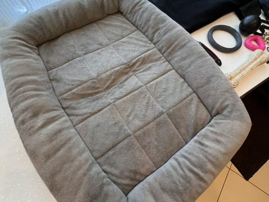 Аксессуары для собак