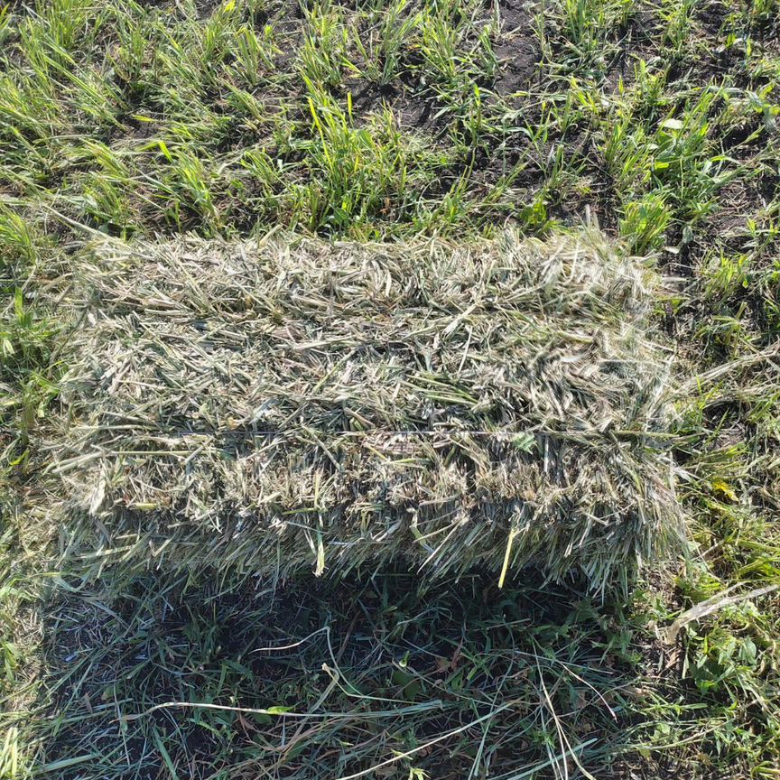 Сено в тюках