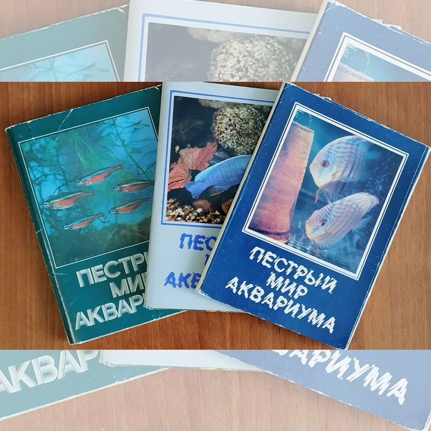 Карточки. Пестрый мир аквариума