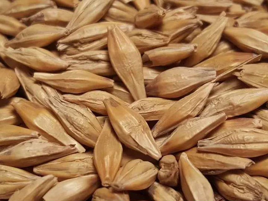 Продам пшеницу, ячмень