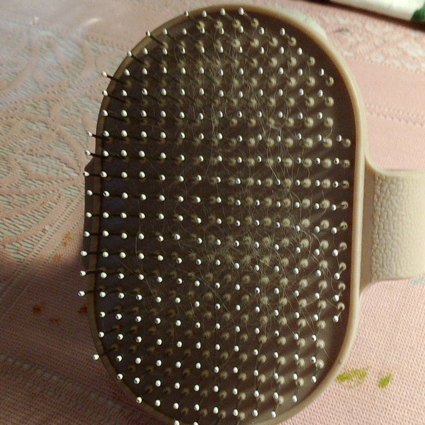 Принадлежности для ухода за животными