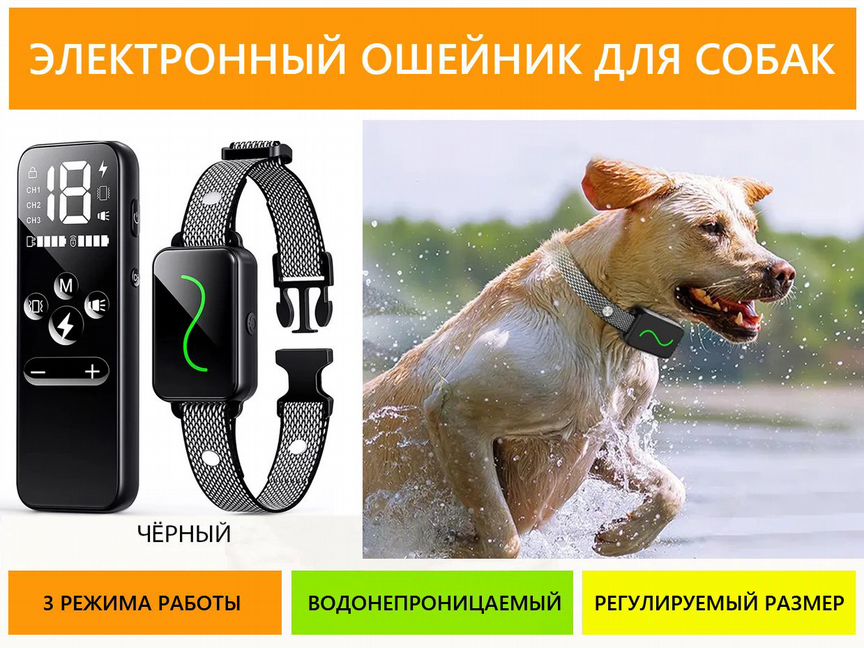Ошейник для собак