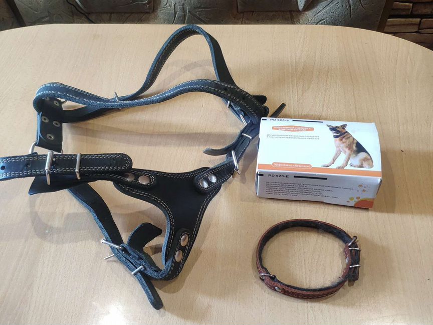 Амуниции для собак