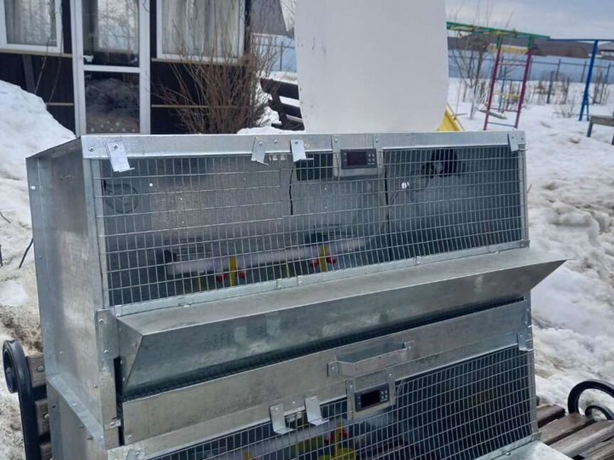 Брудеры и клетки