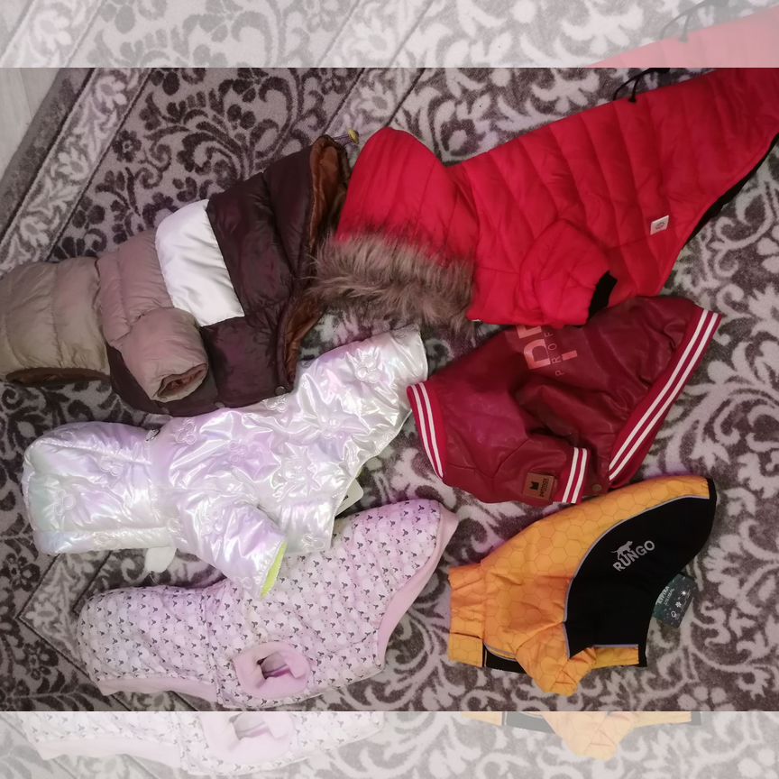 Одежда для собак средних пород