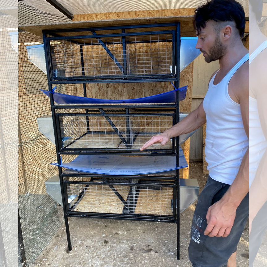 Клетка для кролей/курей