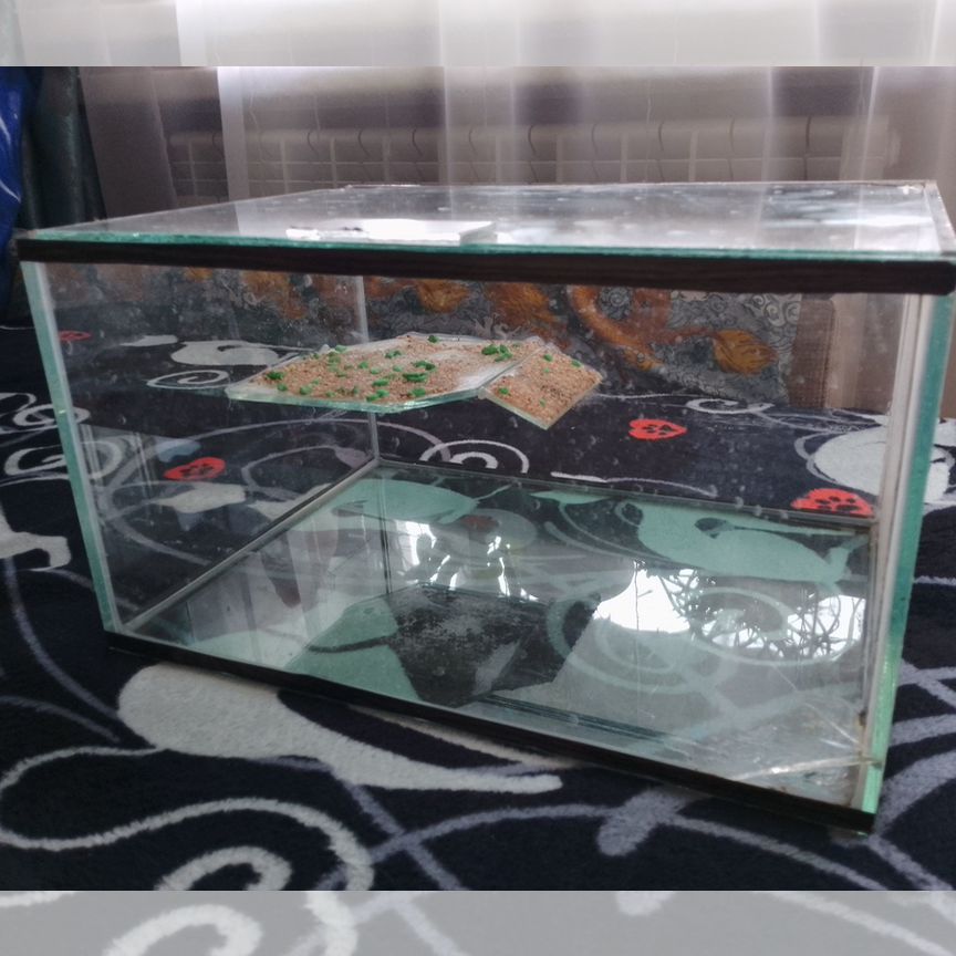 Продам террариум