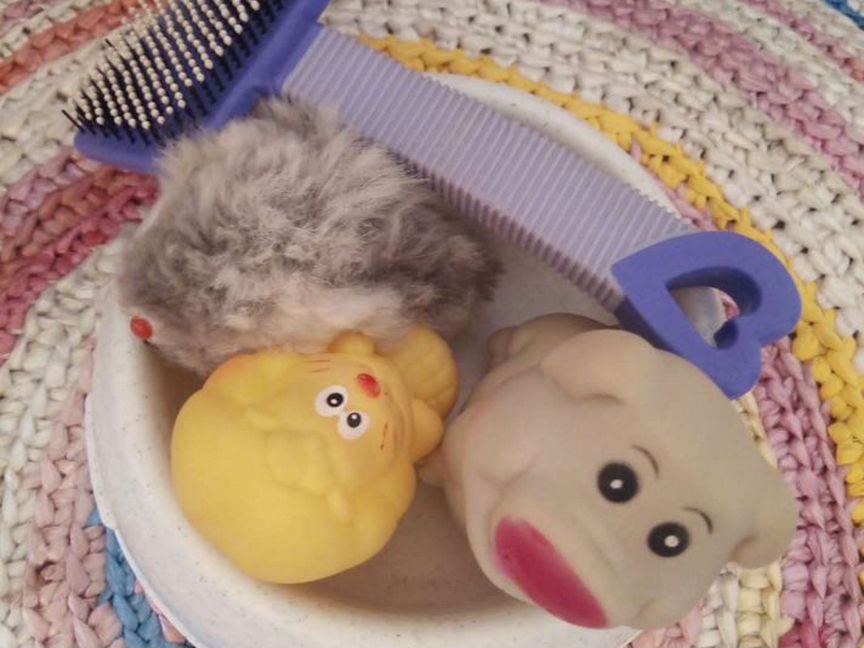 Для животных