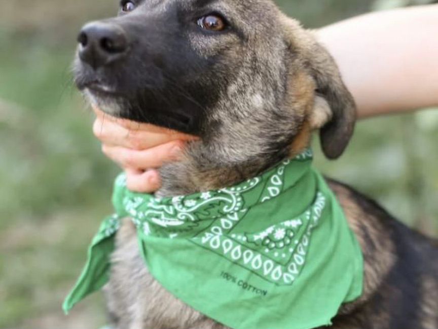 Не девочка а мечта стерилизована 8 мес