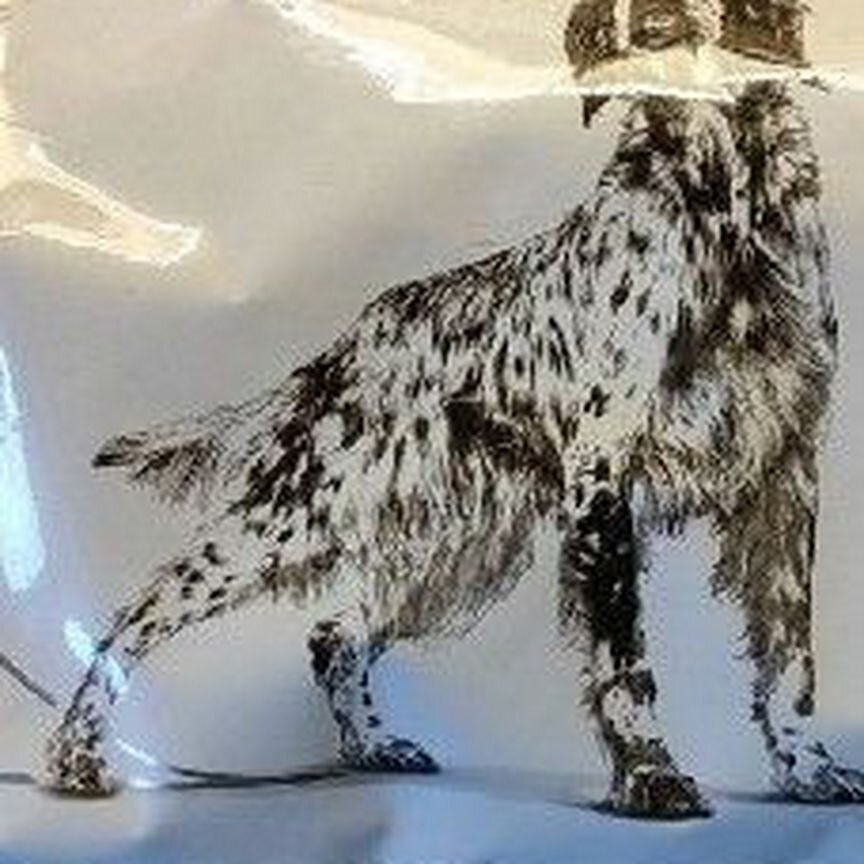 Royal canin anallergenic 2кг