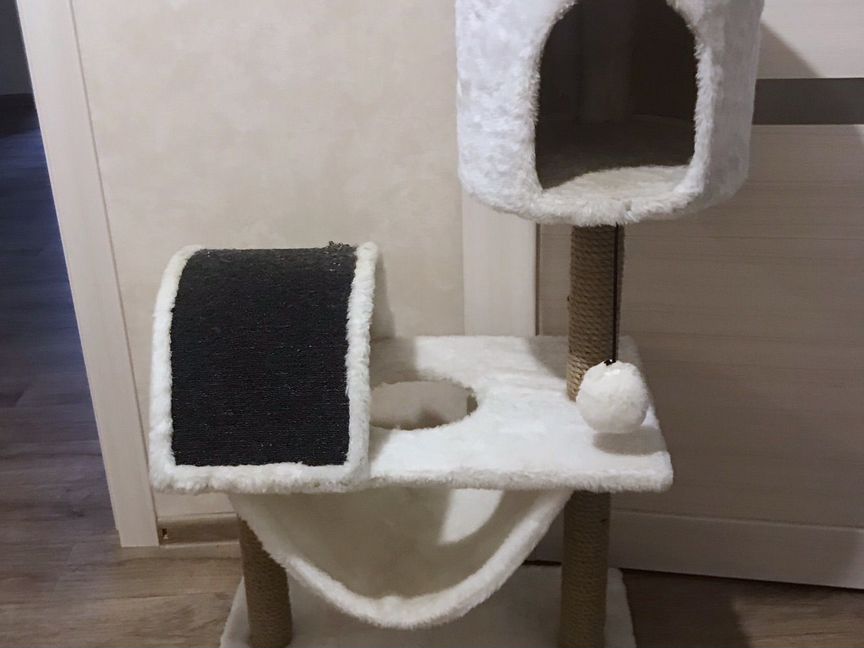 Кошачий домик