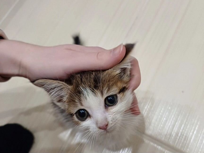 Спасите малышу жизнь