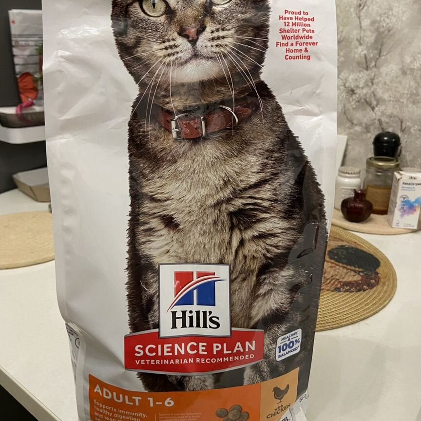 Hills science plan Сухой корм для кошек