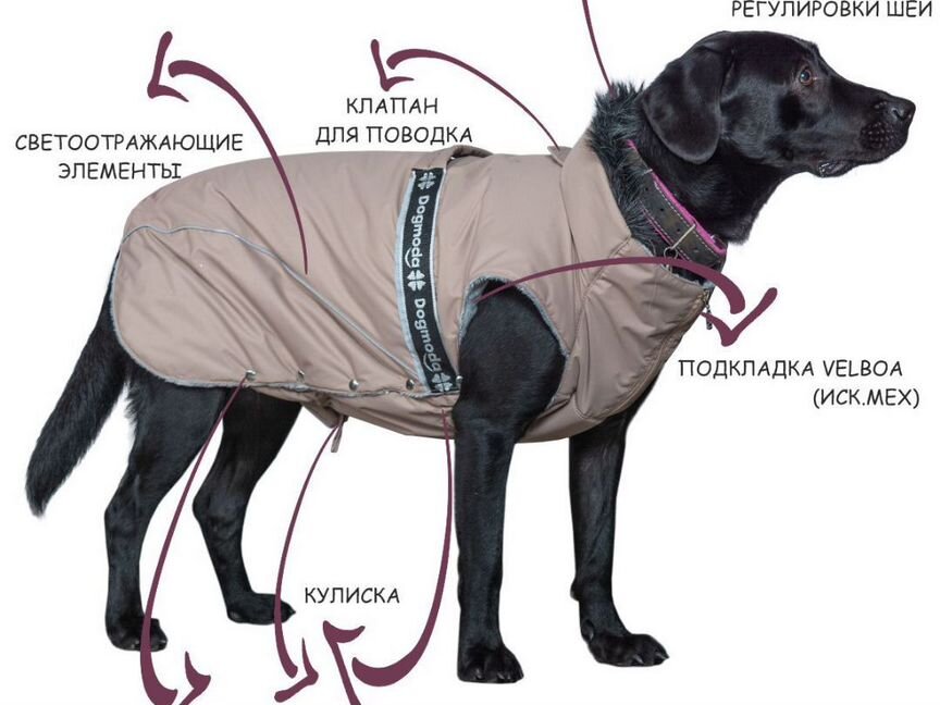 Зимняя попона для собак