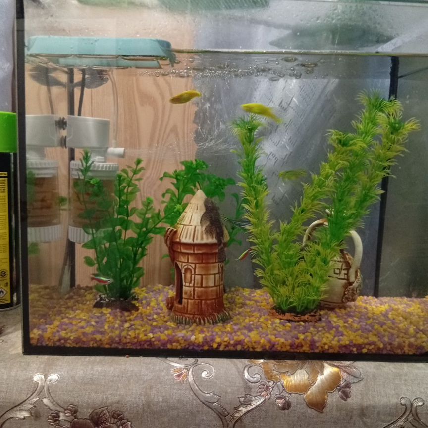 Аквариум с рыбками