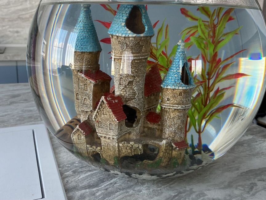 Аквариум чашка 19 литров с наполнением