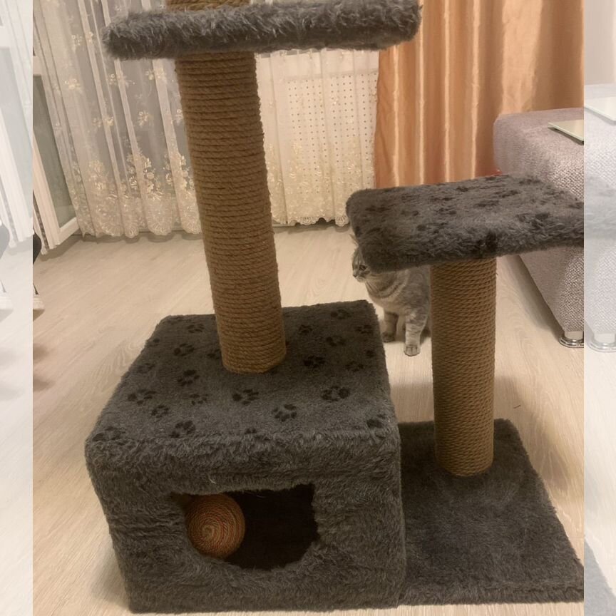 Когтеточка