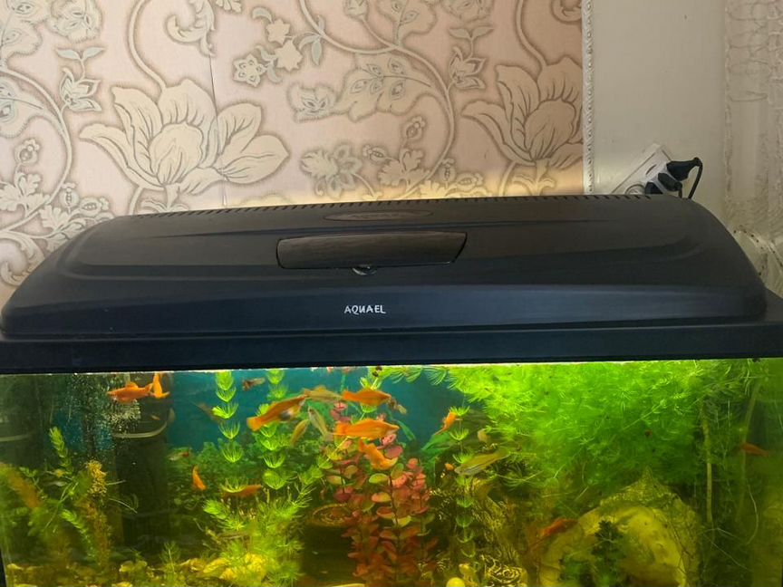 Аквариум с рыбками