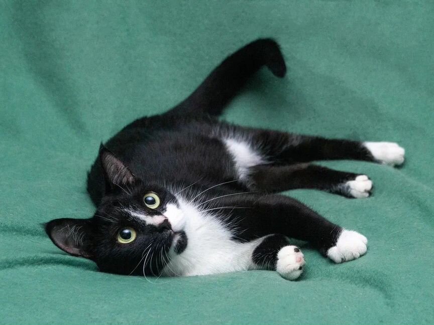 Просто прелесть