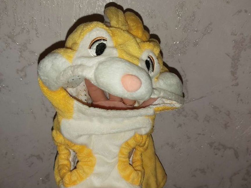 Костюм для собаки