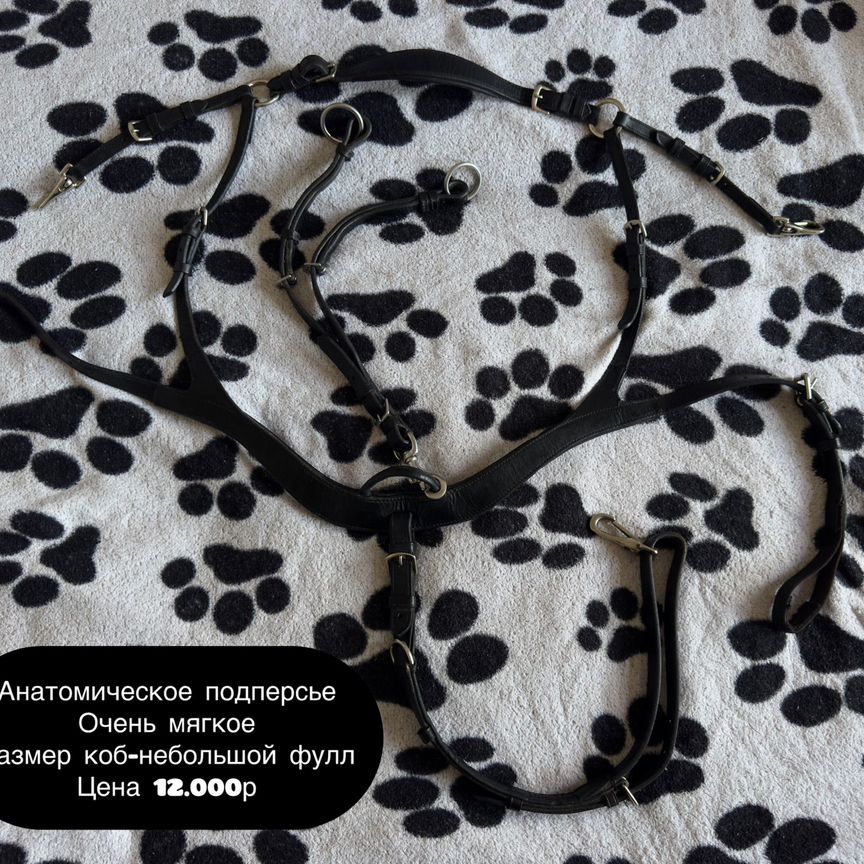 Подперсье анатомическое для лошади