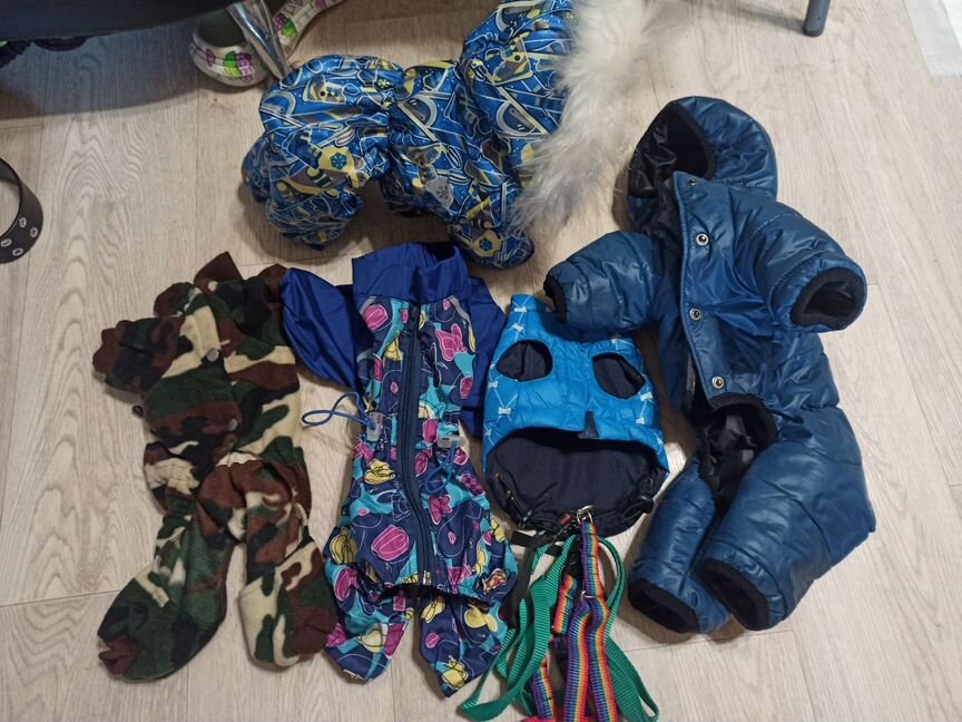 Вещи для маленьких собак