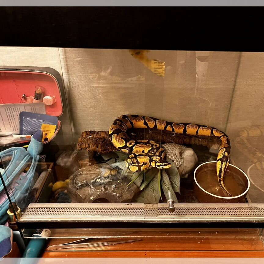 Террариум 50 50 40