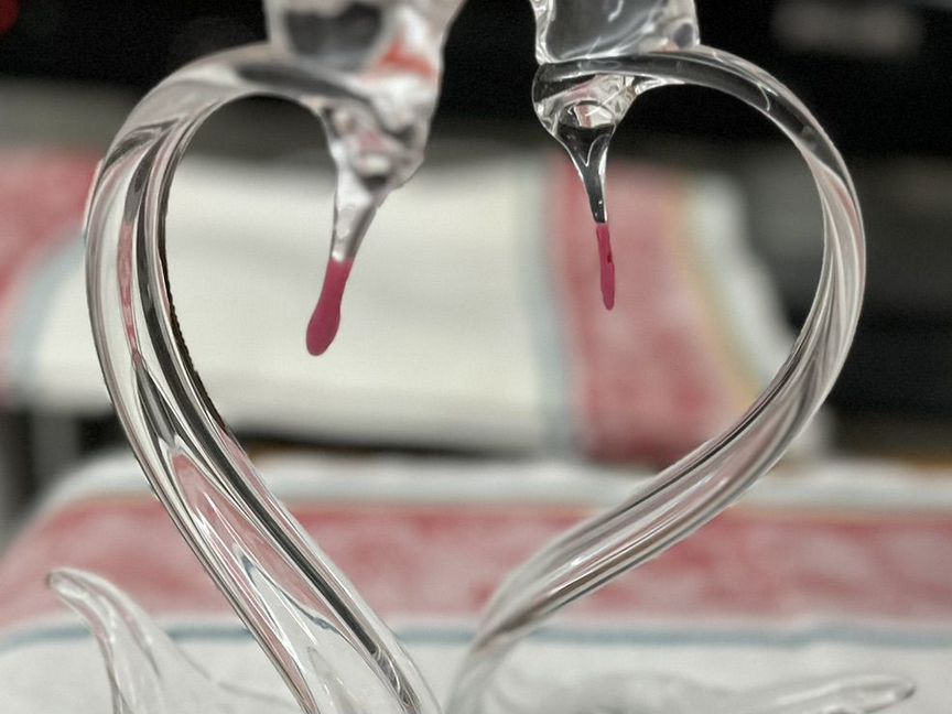 Лебедь пара