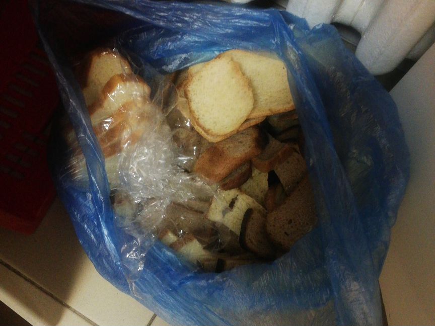 Корм для животных