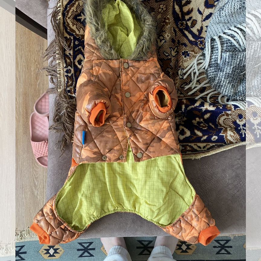 Одежда для маленьких собак