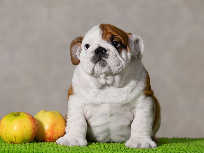 Красивенный Тайлер