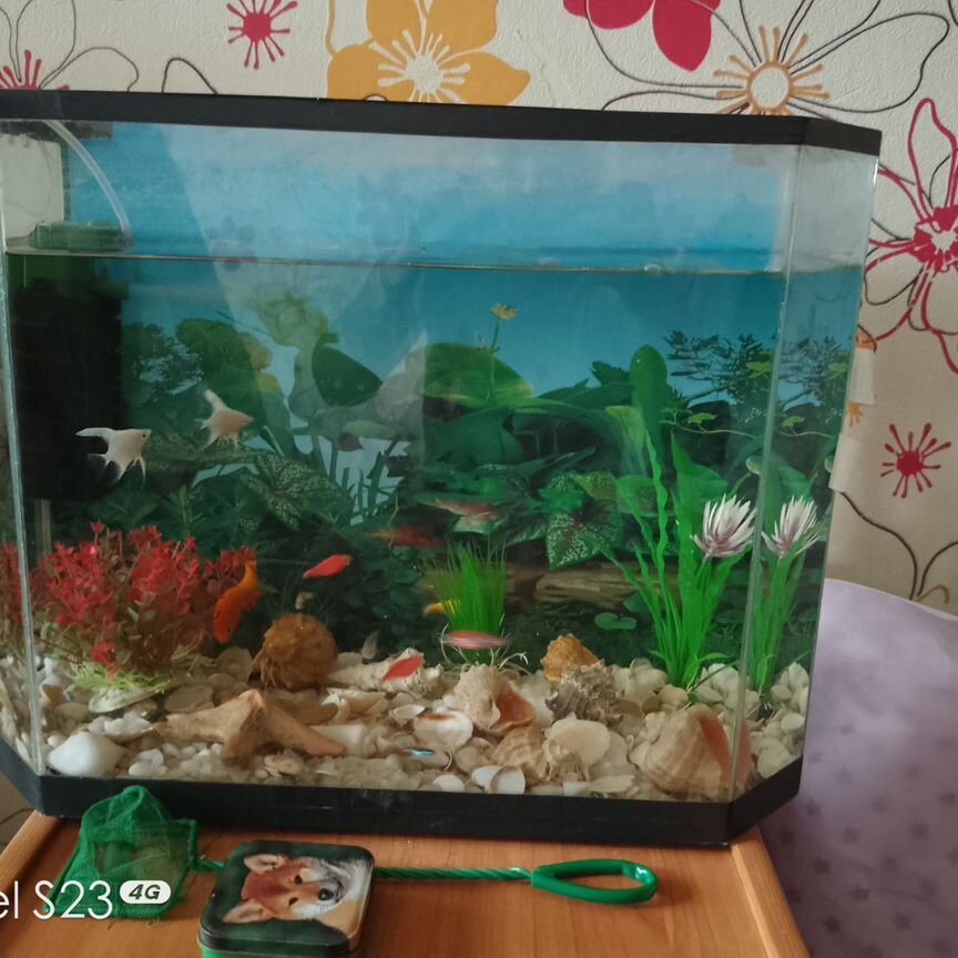 Аквариум с рыбками