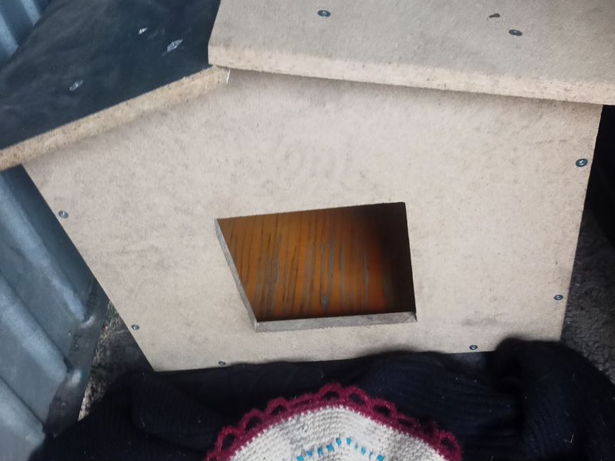 Собачья будка