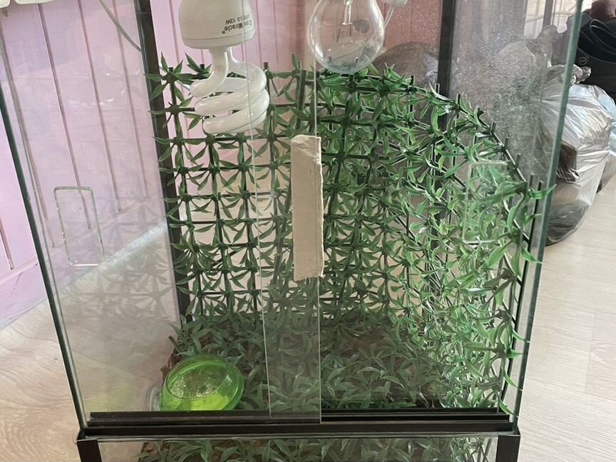 Террариум для хамелеона