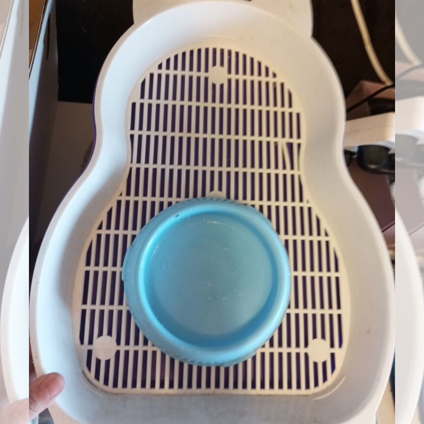 Лоток для кошек