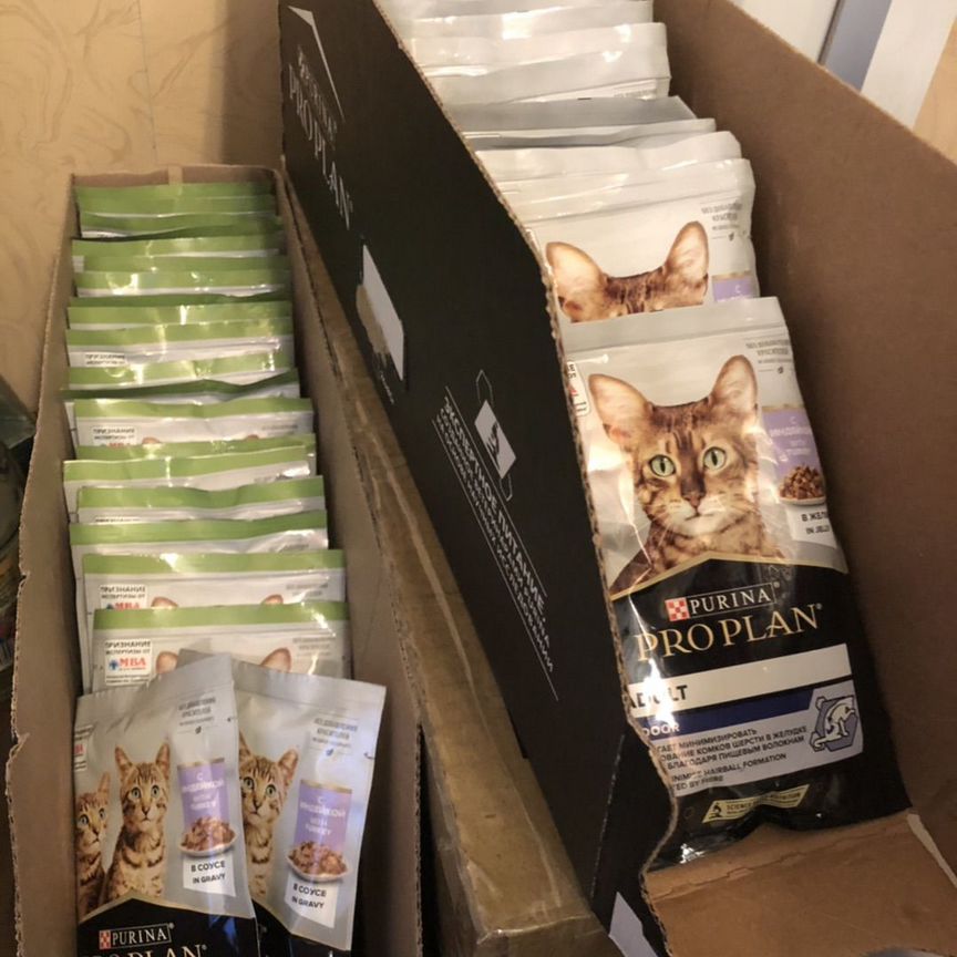 Корм для кошек proplan влажный