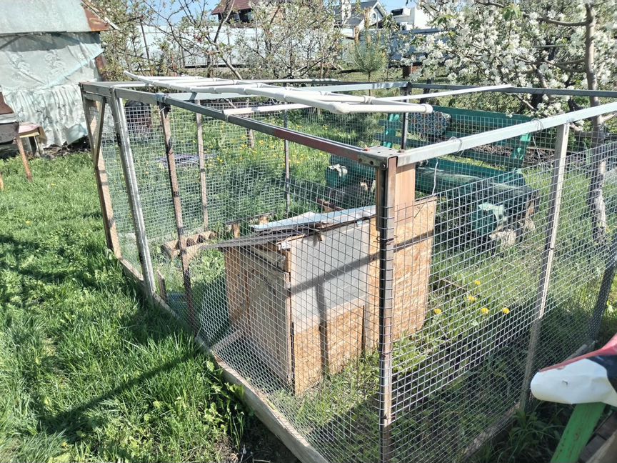 Курятник дачный