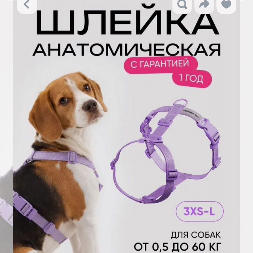 Шлейка для собаки