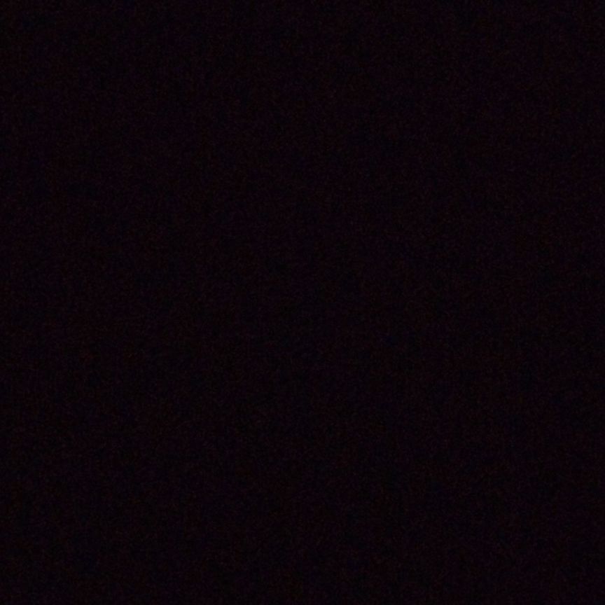 Яровая пшеница