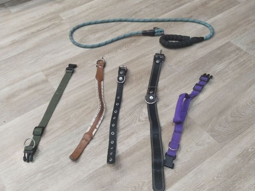 Ошейник для собак