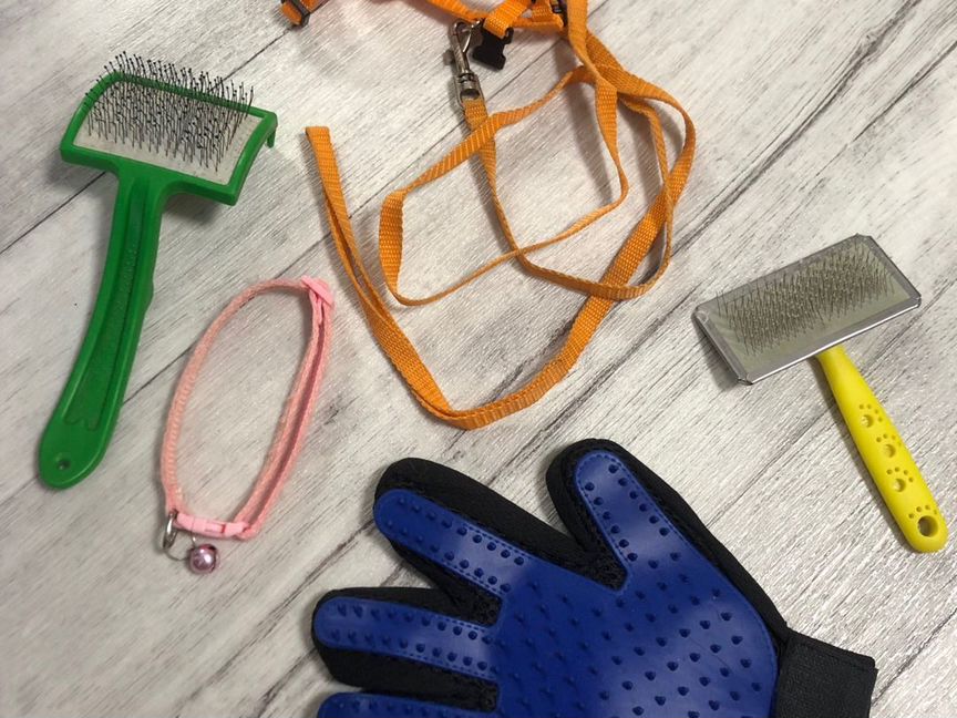 Товары для домашних животных