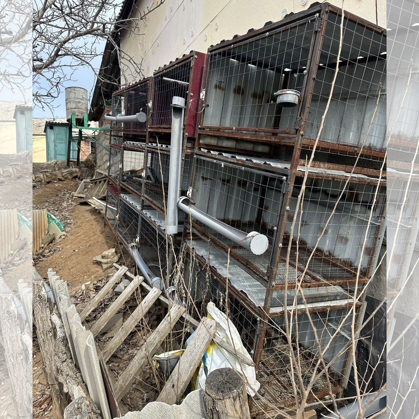 Клетки для бройлеров, кролов, перепелов, бу